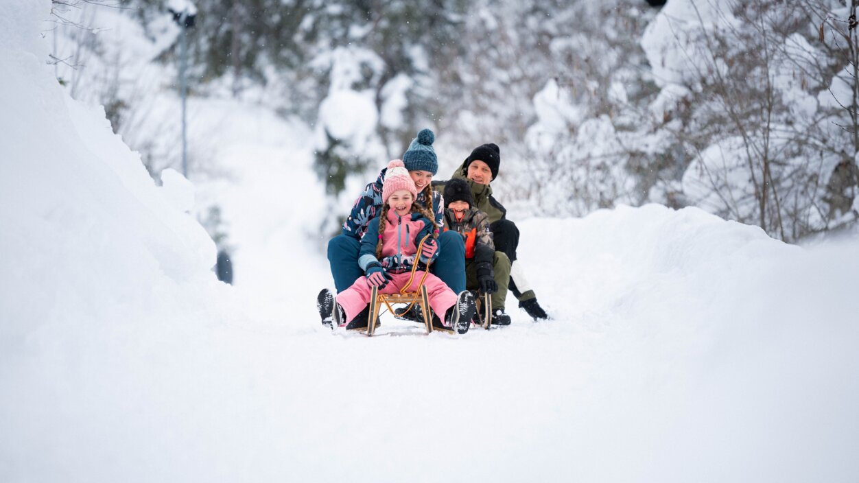 Louer une luge : Comment choisir le bon modèle | INTERSPORT Rent